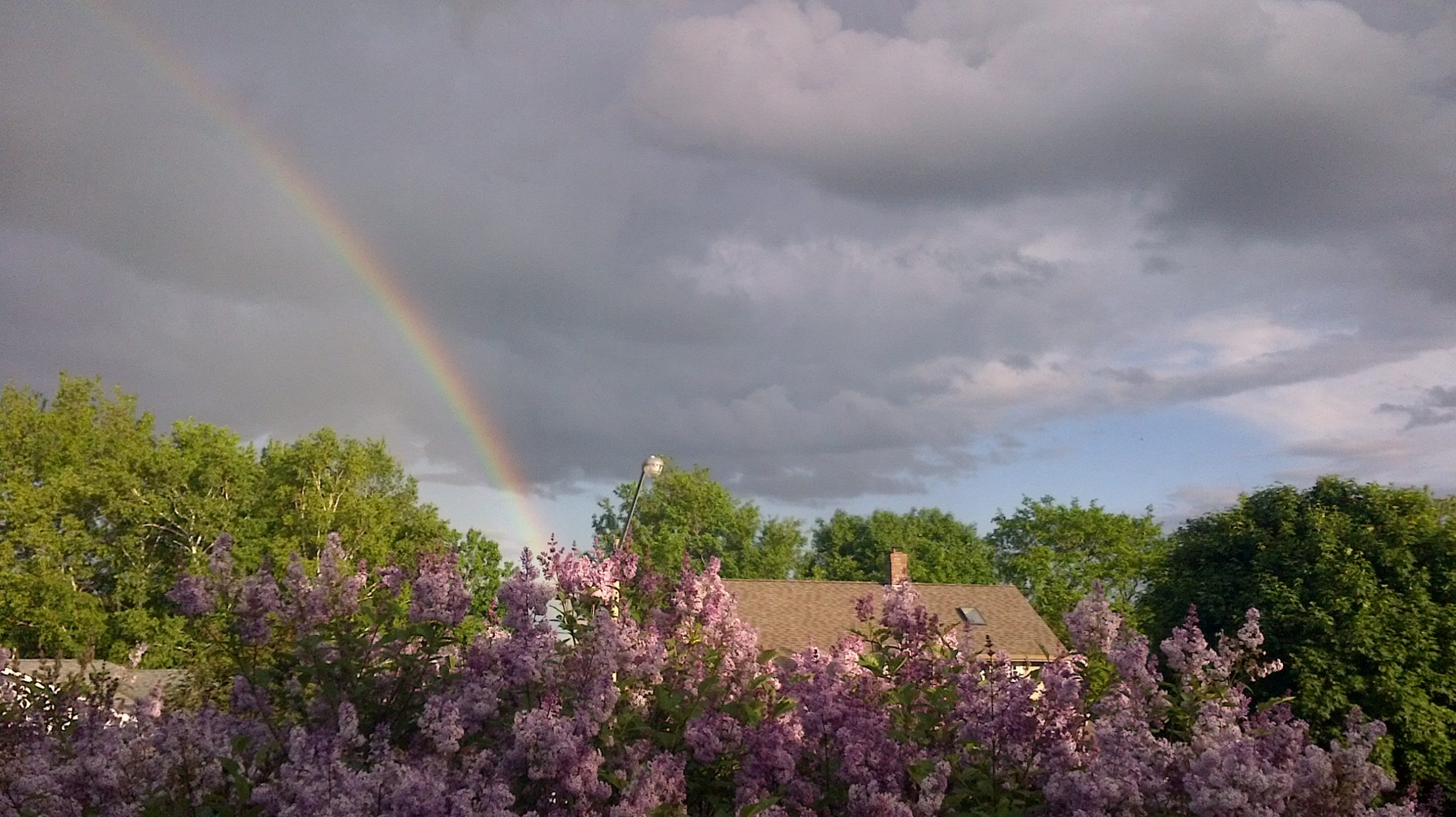 Visions in the Cloud – Lent 1